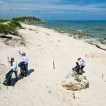 Beach Guardians Clean up & Picnic plus Otoch Mayan Experience - What’s Included and What’s Not?