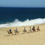 Beach Horseback Riding in Los Cabos - Why You Might Love This Tour