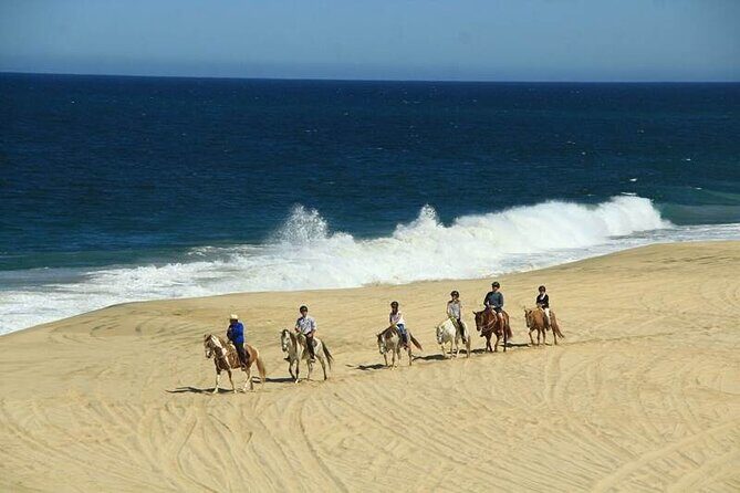 Beach Horseback Riding in Los Cabos - Why You Might Love This Tour