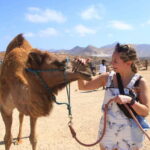 Beach UTV & Camel Ride COMBO in Cabo by Cactus Tours Park - Why This Tour Delivers Value