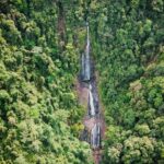 Beautiful Daintree Waterfall Walk, Magical Swim & Heavenly Lunch - What Travelers Say