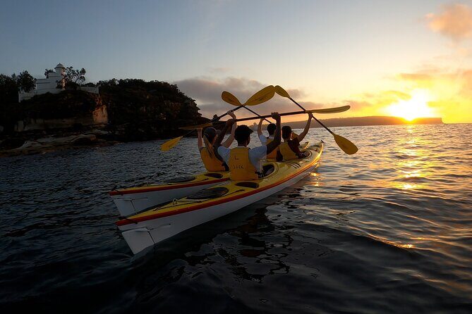 Beautiful Middle Harbour Sunriser / Guided Kayaking Private Tour - Authentic Insights from Reviewers