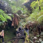 Beauty of the Blue Mountains Private Tour - Transportation and Comfort