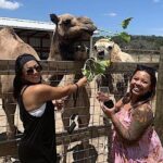 Become a Ranch Hand for a Day in Fredericksburg - The Practical Details