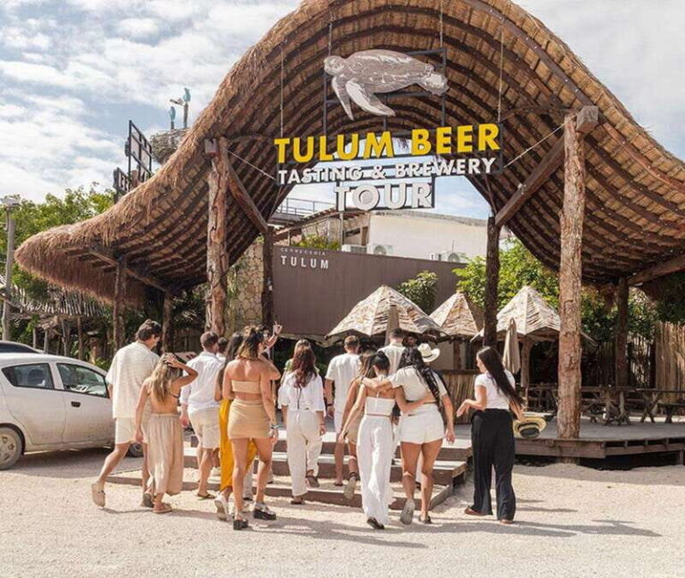 Beer Tasting & Brewery Tour - What to Expect from the Tour