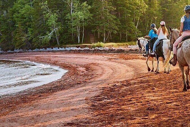 Beginner Brudenell Beach Trail Ride - Who Should Consider This Experience