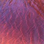 Behind The Bay - Explore Like a Local: Waterfalls/paddleboarding - The Sum Up