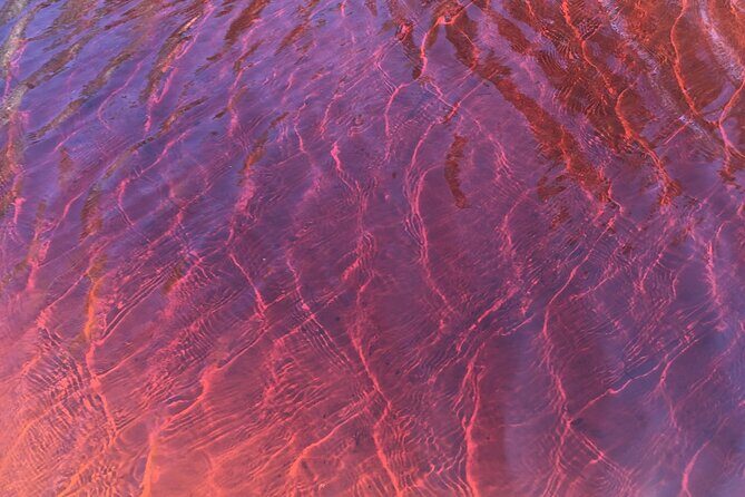 Behind The Bay - Explore Like a Local: Waterfalls/paddleboarding - The Sum Up