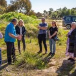 Bendigo Chinese Heritage Tour with Morning Tea Sundays - The Historic Bendigo Joss House Temple