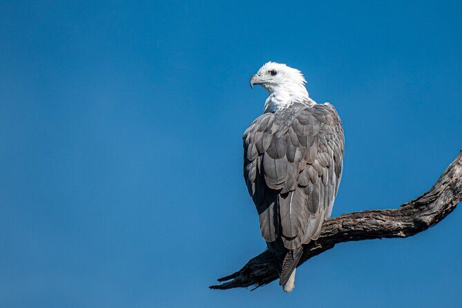 Bermagui River Kayak Tour - The Experience: What Makes It Special