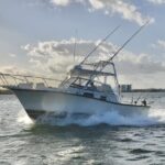 Bertram 35ft boat sport fishing cancun up to 6 passengers - Detailed Breakdown of the Tour Experience