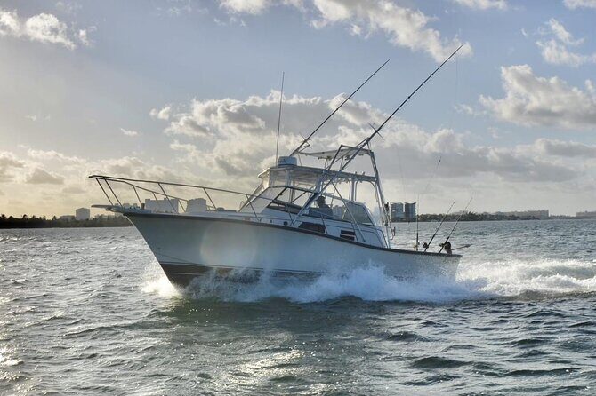 Bertram 35ft boat sport fishing cancun up to 6 passengers - Detailed Breakdown of the Tour Experience
