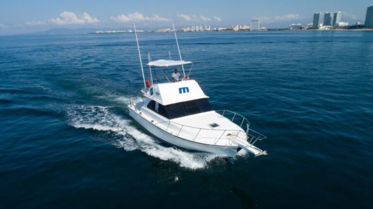 Bertram 38' Convertible Boat in Puerto & Nuevo Vallarta - Who Will Find This Tour Most Suitable?