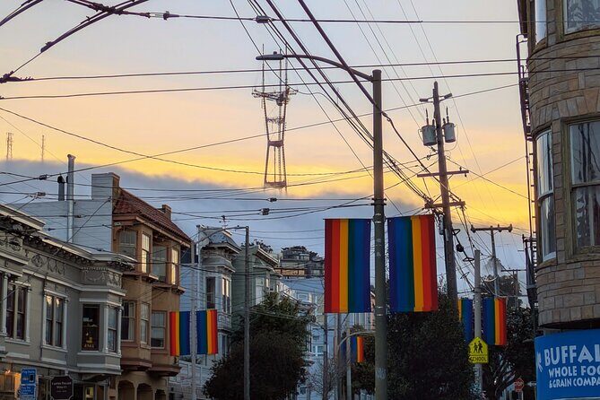 Bespoke San Francisco EV VW Van Experience - Who Should Book This Tour?