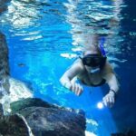 Best in Class: Private Snorkeling Xpedition - How Do Guides Make a Difference?