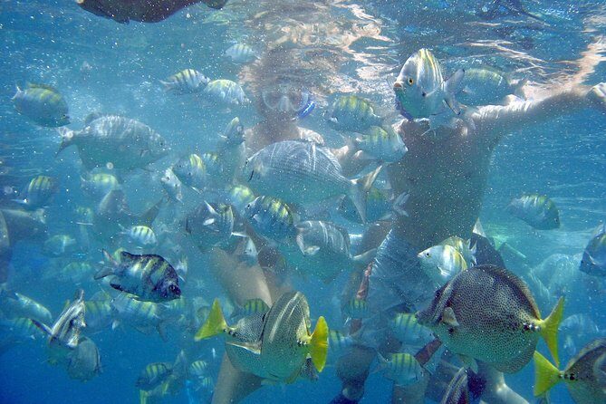 Best of Cabo Highlights 6x1 - Exploring the Itinerary in Detail