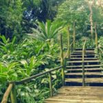 Best of Nadi Highlights - Practical Details You Should Know