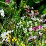 Best of Nadi Highlights - The Value of the Experience