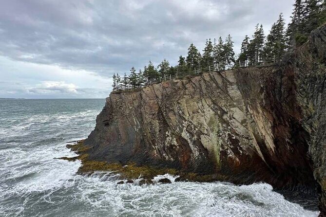Best of Nova Scotia: Full-Day Private Luxury Tour - Who is This Tour Best For?