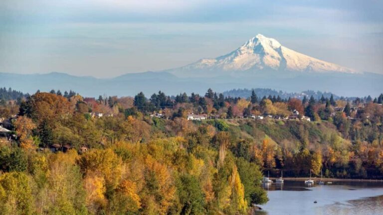 Best of Portland: Private Walking Tour with a Local - An Authentic Portland Adventure