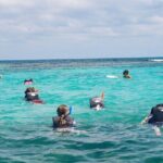 Best SpeedBoat and Snorkeling tour with Transfer from Cancun - The Return Journey