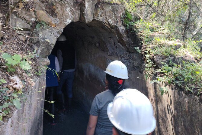 Between Tunnels and Bats - Final Thoughts