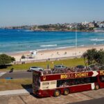 Big Bus Sydney and Bondi Hop-on Hop-off Tour - Who Will Love This Tour?