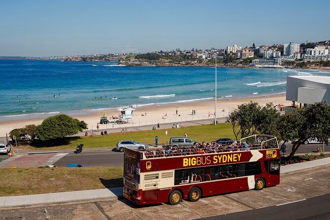 Big Bus Sydney and Bondi Hop-on Hop-off Tour - Who Will Love This Tour?