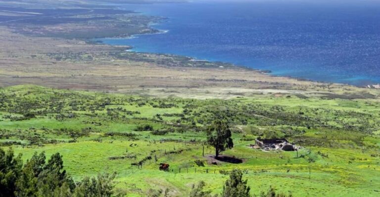 Big Island, Hawaii: Polaris Slingshot Rental - An In-Depth Look at the Polaris Slingshot Experience