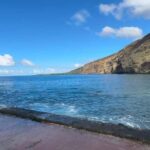 Big Island: Hilo to Kona Day Tour with Tastings - Transportation and Comfort