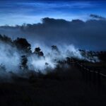 Big Island: Volcano, Chocolate & Waterfall Adventure - What Makes This Tour Stand Out?