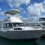 Bike Ferry Portobello to Port Chalmers and Quarantine Island - Meeting Points and Practical Details