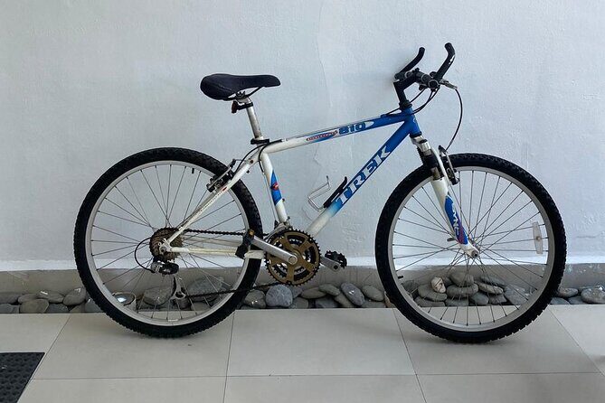 Bike Rental in Isla Mujeres - Authentic Insights from Reviews