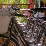 Bike Rental in Tulum downtown - The Experience on the Ground: What You’ll See and Feel