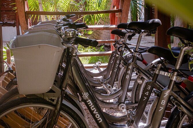 Bike Rental in Tulum downtown - The Experience on the Ground: What You’ll See and Feel