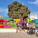 Bike Ride to the Largest Tree in the World - What’s Included and What’s Not