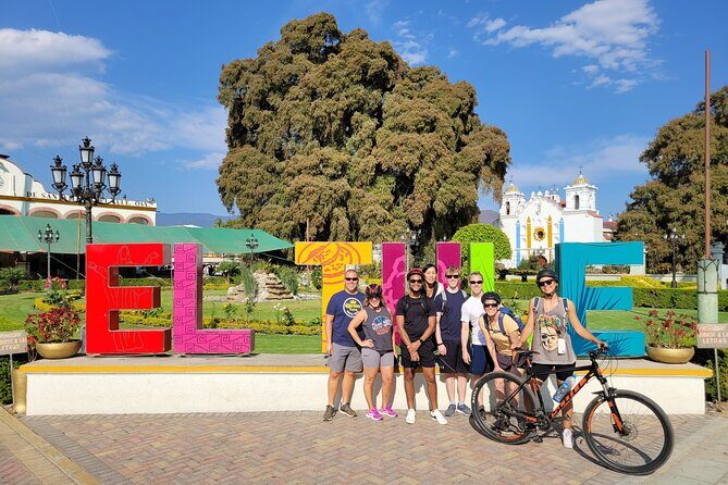 Bike Ride to the Largest Tree in the World - What’s Included and What’s Not