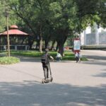 Bike tour in the Chapultepec Forest and Roma Condesa - Potential Drawbacks to Consider