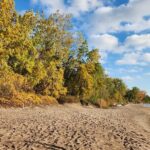 Bike Tour Toronto Harbourfront and Toronto Islands (Economical) - What You Can Expect From the Experience