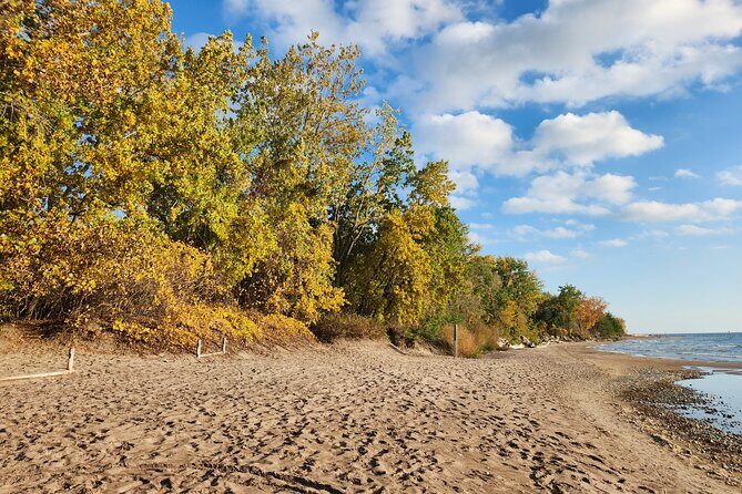 Bike Tour Toronto Harbourfront and Toronto Islands (Economical) - What You Can Expect From the Experience