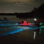 Bioluminescence Night Craigcat Tours - Who Will Love This Tour?