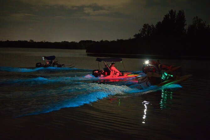 Bioluminescence Night Craigcat Tours - Who Will Love This Tour?