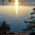 Bioluminescence Night Paddle - What to Expect During the Experience