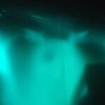 Bioluminescence swim with stars - Authentic Insights from Past Participants