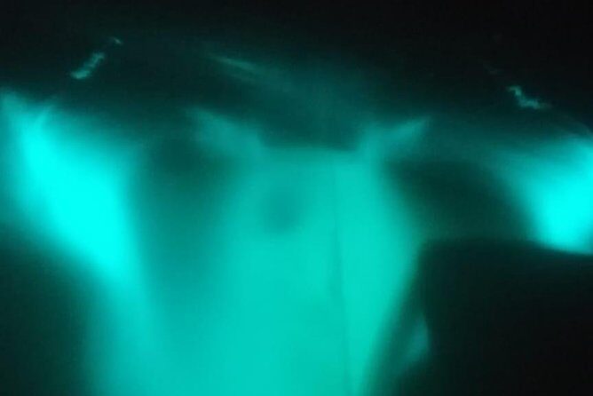Bioluminescence swim with stars - Authentic Insights from Past Participants
