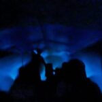Bioluminescent Night Tour - The Experience in Detail: Highlights and Considerations