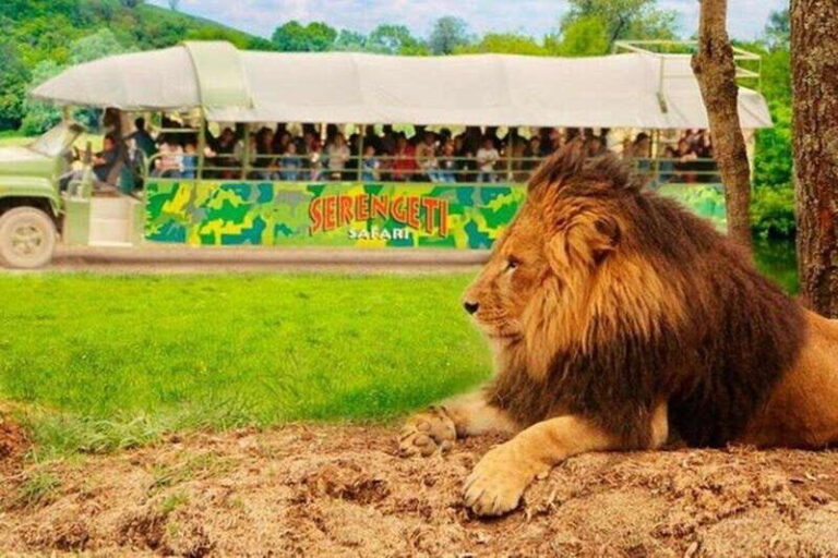 Bioparque Estrella Safari Experience Ticket - Exploring the Park: A Deep Dive