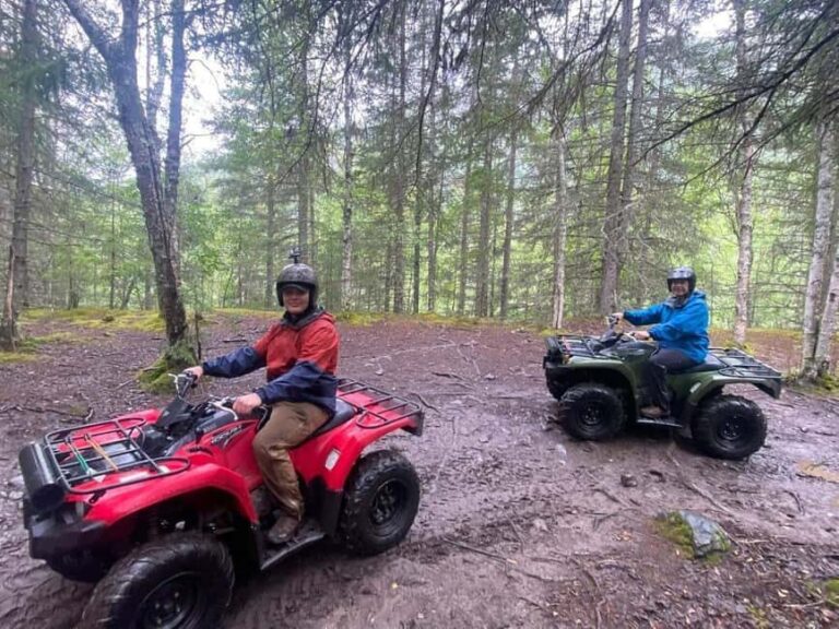 Bird Creek: Chugach State Park ATV Nature Tour & Hike - Key Points
