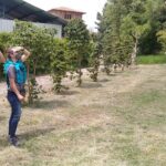 Bird Observation in the National Park of Uruapan. - Final Thoughts: Is This Tour Right for You?