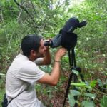 Bird Watching in Sian Ka´an Muyil - The Practicalities